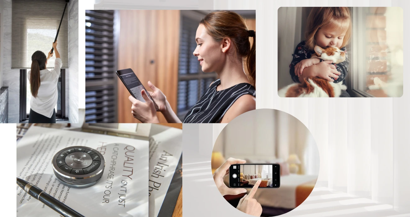 NORMAN®50周年 特集サイト | ノーマンジャパン